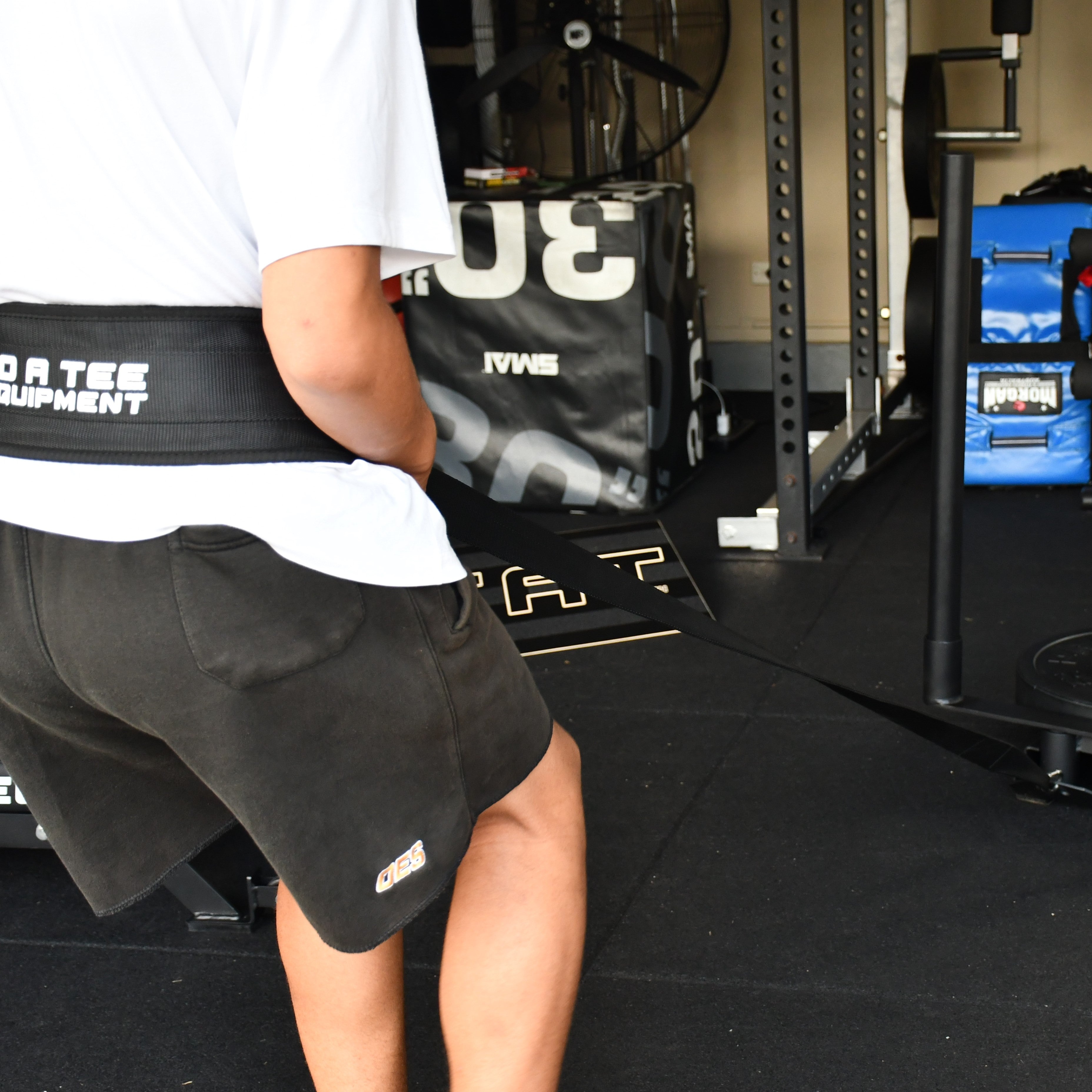 Sled Waist Strap | Improve Knee Strength, Mobility & Conditioning | TAT ...